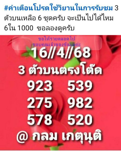 488881185 4050941461817835 7439795269600662895 n - Gifyu