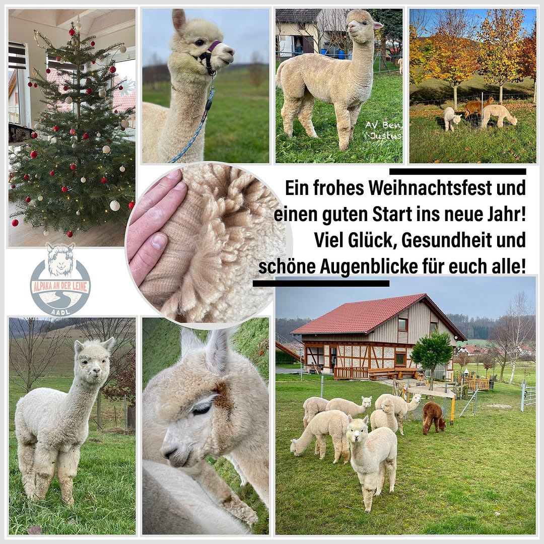 470923797 18060666277860647 8334754090231702915 n - Gifyu