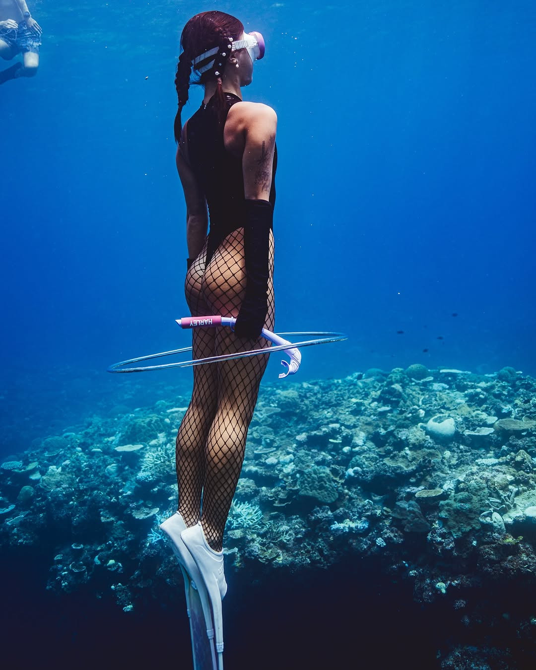 469156525 17960510210838769 4531288613391729466 @harley holiday - Gifyu